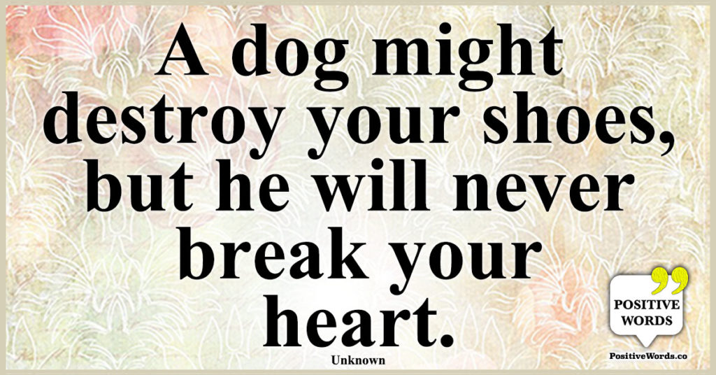 A dog might destroy your shoes, but he will never break your heart.