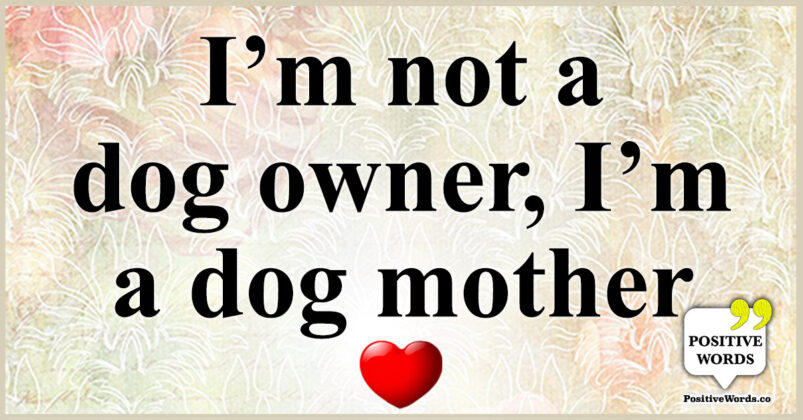 I’m not a dog owner, I’m a dog mother.