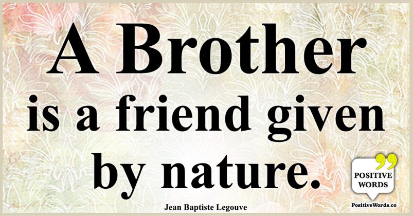 A brother is a friend given by nature.